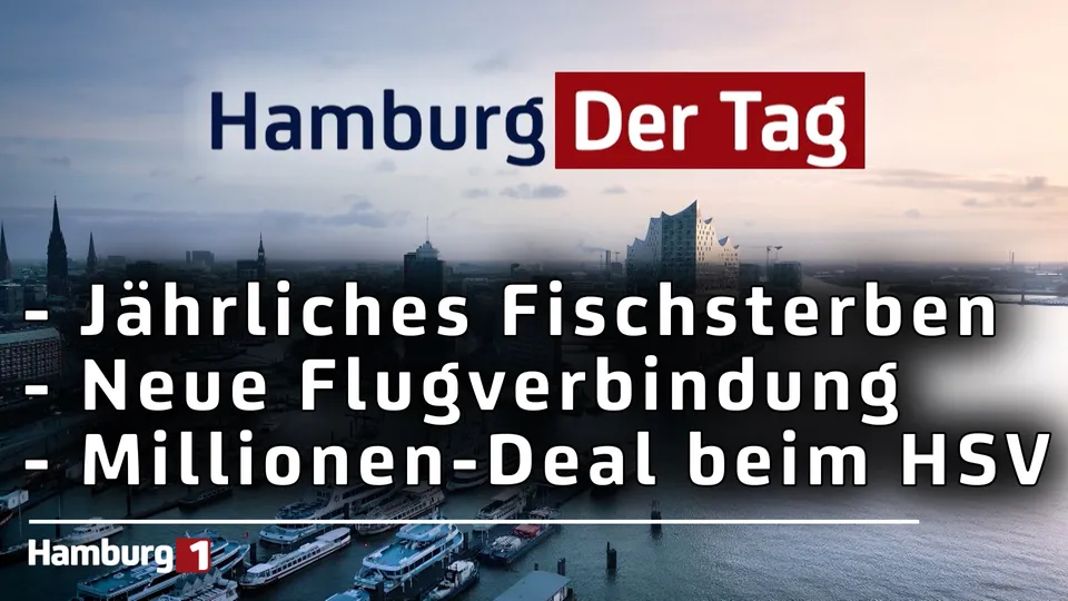 Hamburg Der Tag - Hamburg 1
